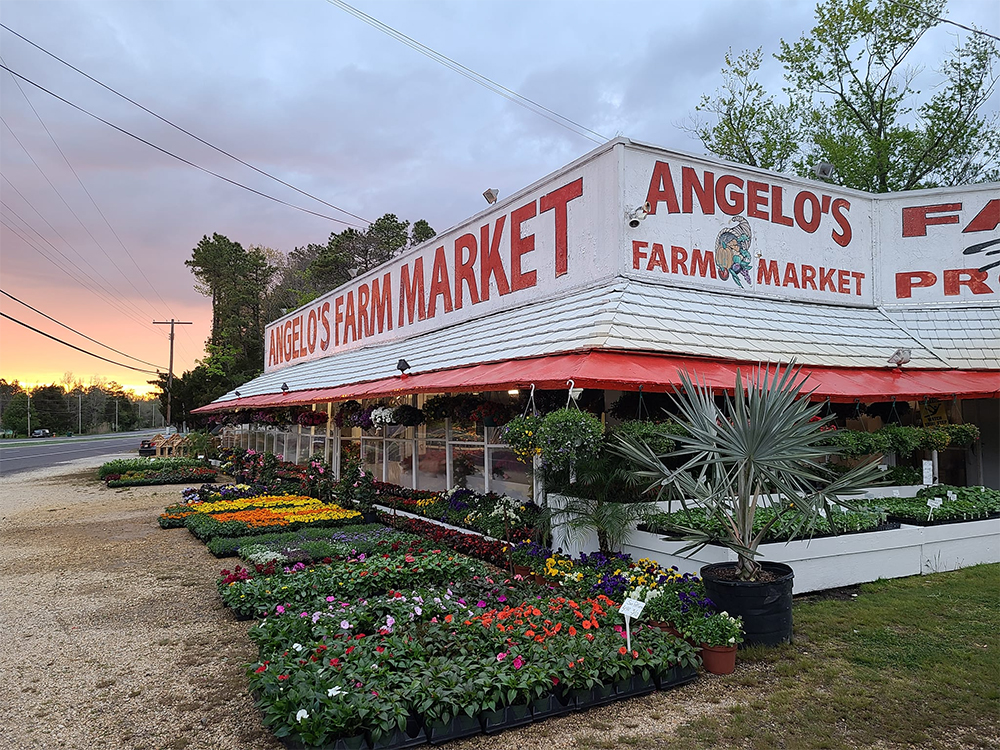 Farmers markets and garden centers exploding with spring color - Shore ...