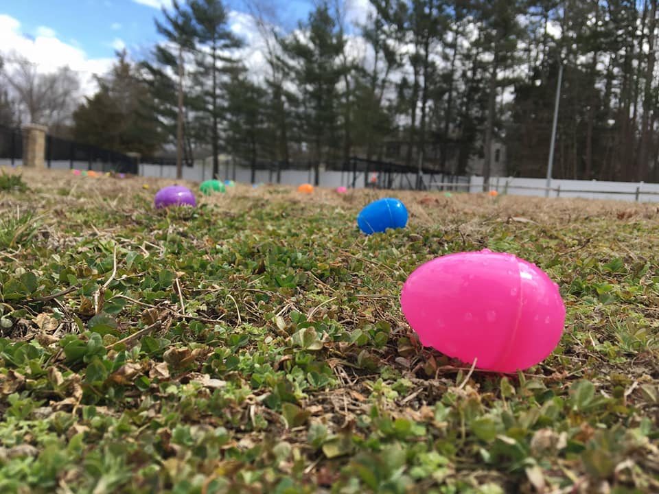 Celebrate Easter at the Park with Egg Hunts, Crafts and Wagon Rides ...