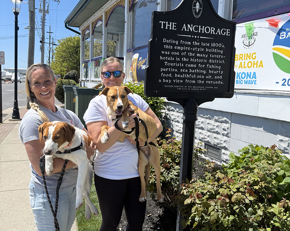 Paws and Pours: The Anchorage invites you (and your pup) to give back ...