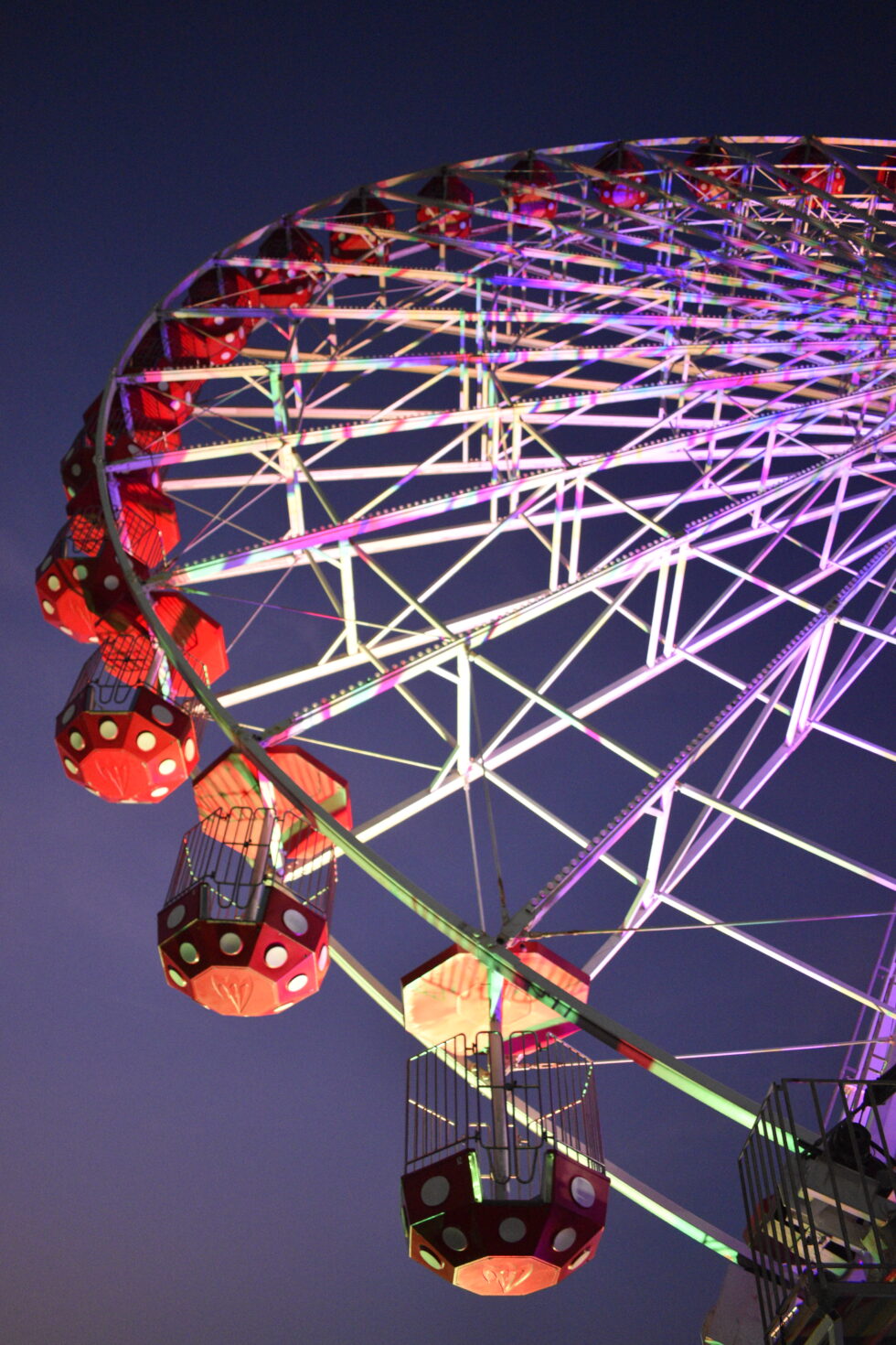 Wonderland’s Ferris wheel lit up once again - Shore Local Newsmagazine