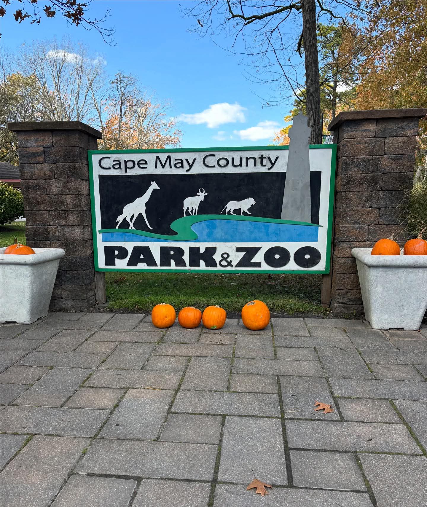Family-friendly fun awaits at the Cape May County Park & Zoo - Shore ...