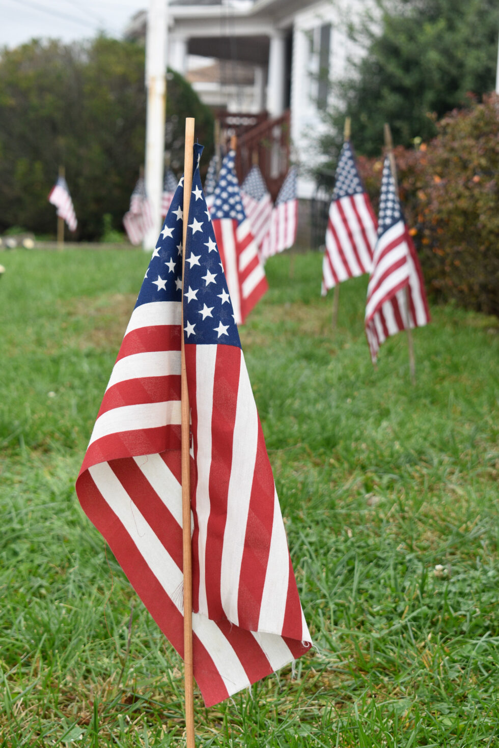 Flags for the Forgotten: Honoring heroes still fighting battles within ...